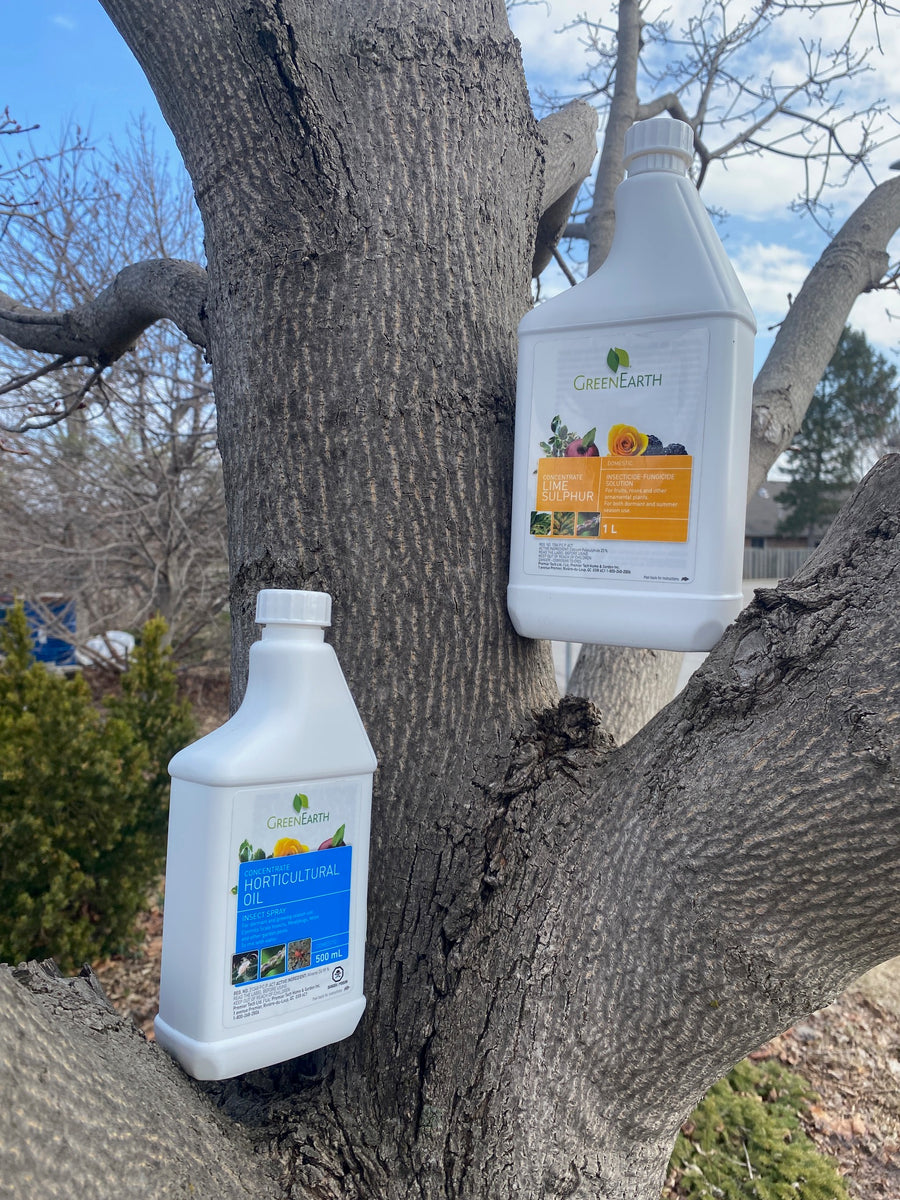 DORMANT SPRAYING GUIDE – Niagara Pond & Garden