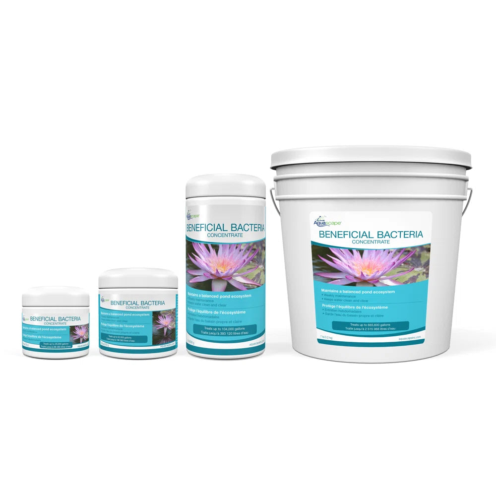 Beneficial Bacteria Concentrate – Niagara Pond & Garden